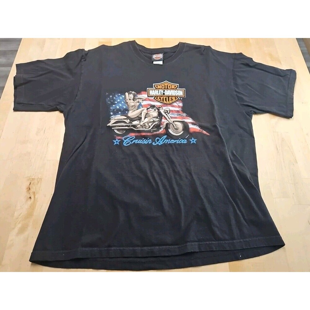 2000s Harley Davidson Motorcycles Cruisin America Chi… - Gem